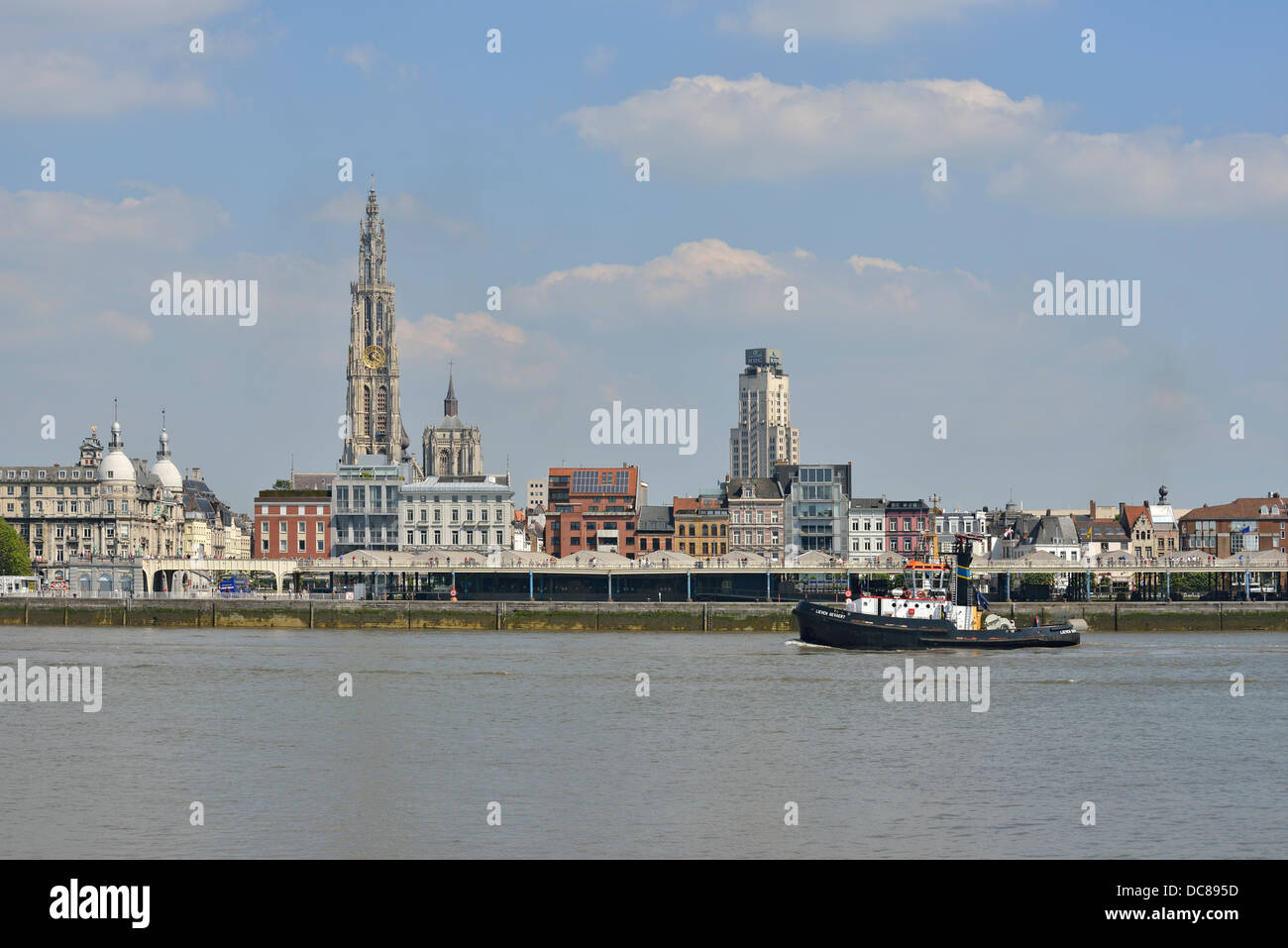 View of Antwerp from across the river Scheldt, Belgium Stock Photo - Alamy