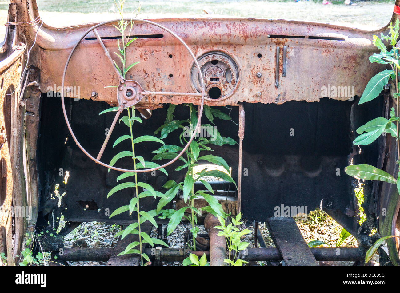 Nazi doctors hi-res stock photography and images - Alamy