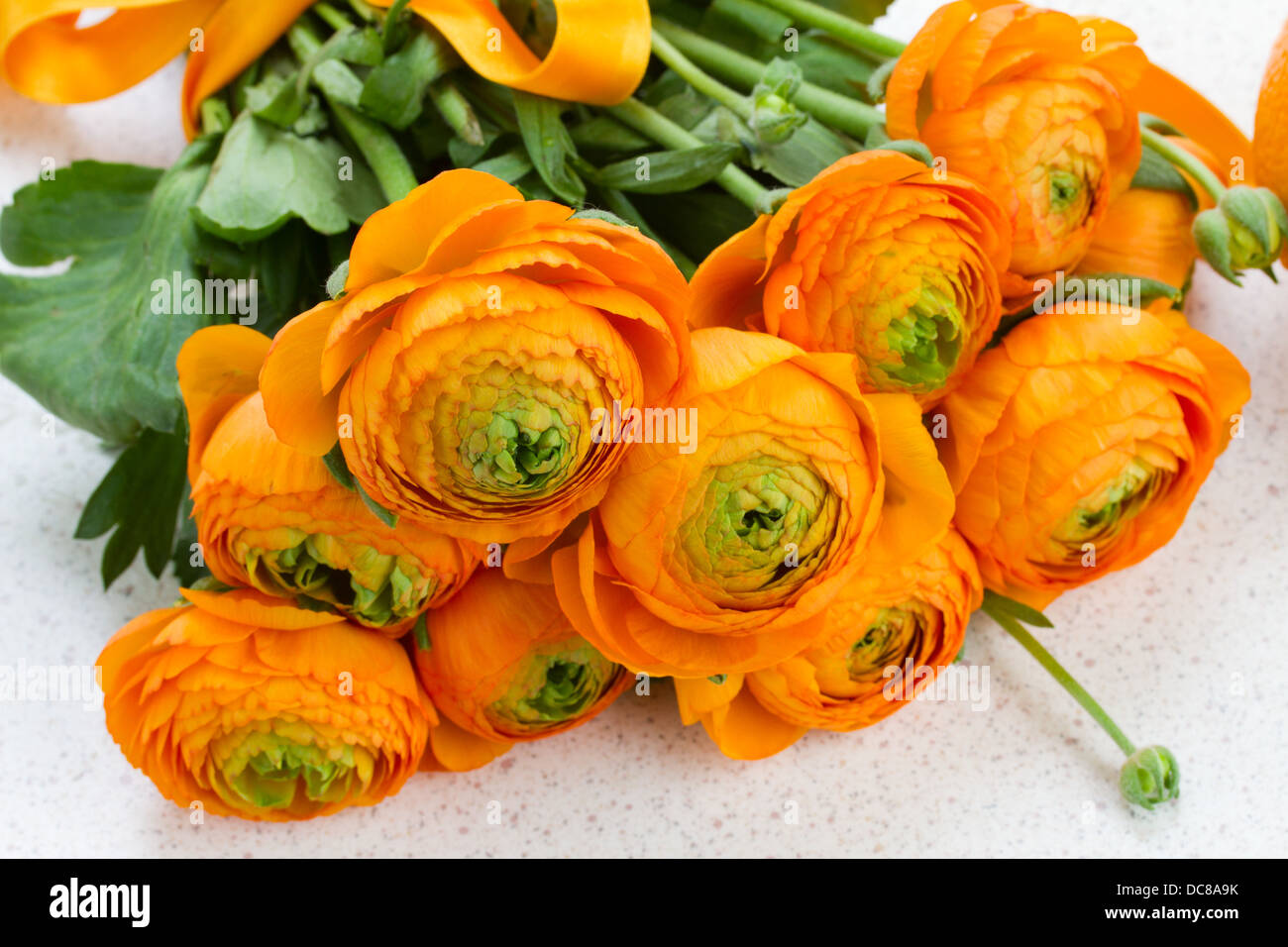orange ranunculus bouquet Stock Photo - Alamy