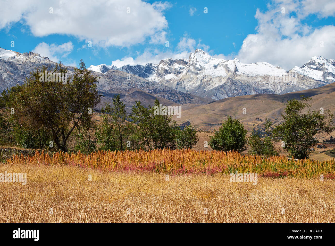 Farmland adventures hi-res stock photography and images - Alamy