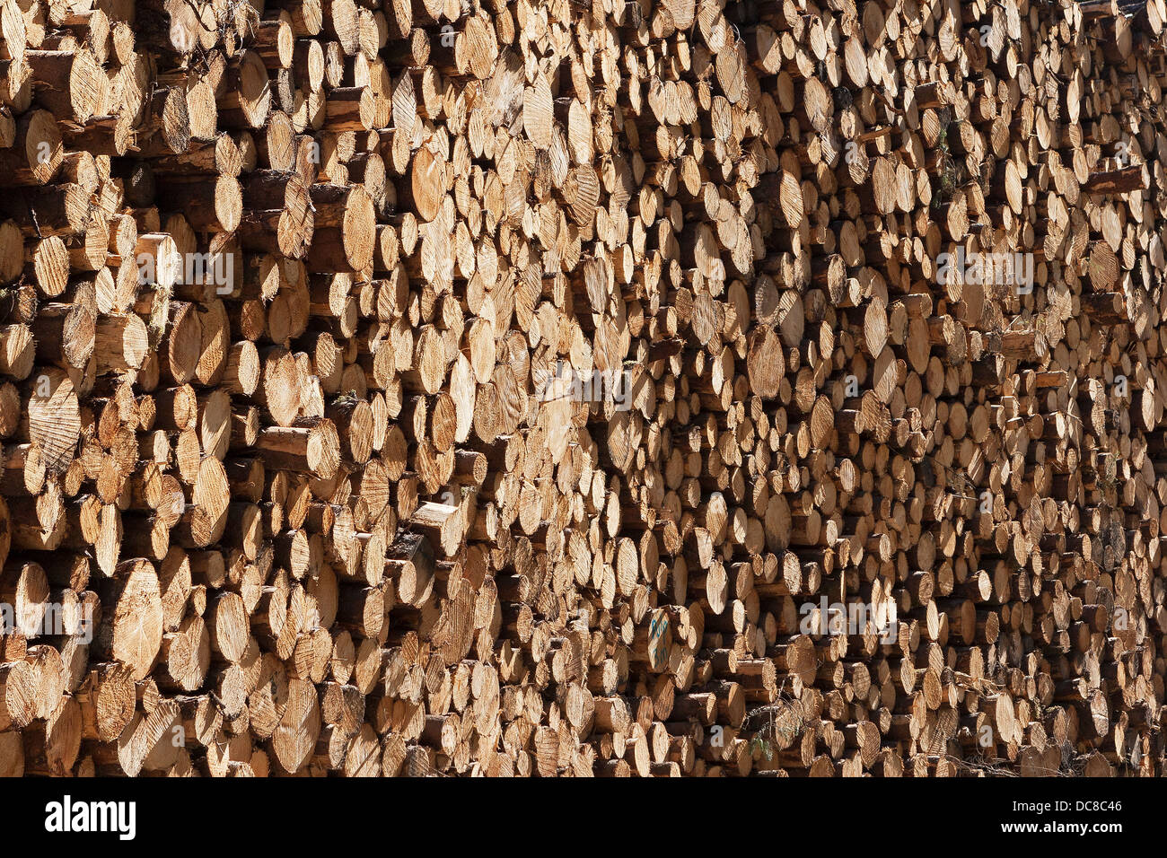 Timber clearance hi-res stock photography and images - Alamy