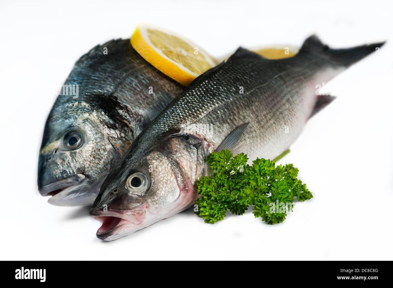 White bass fish hi-res stock photography and images - Alamy