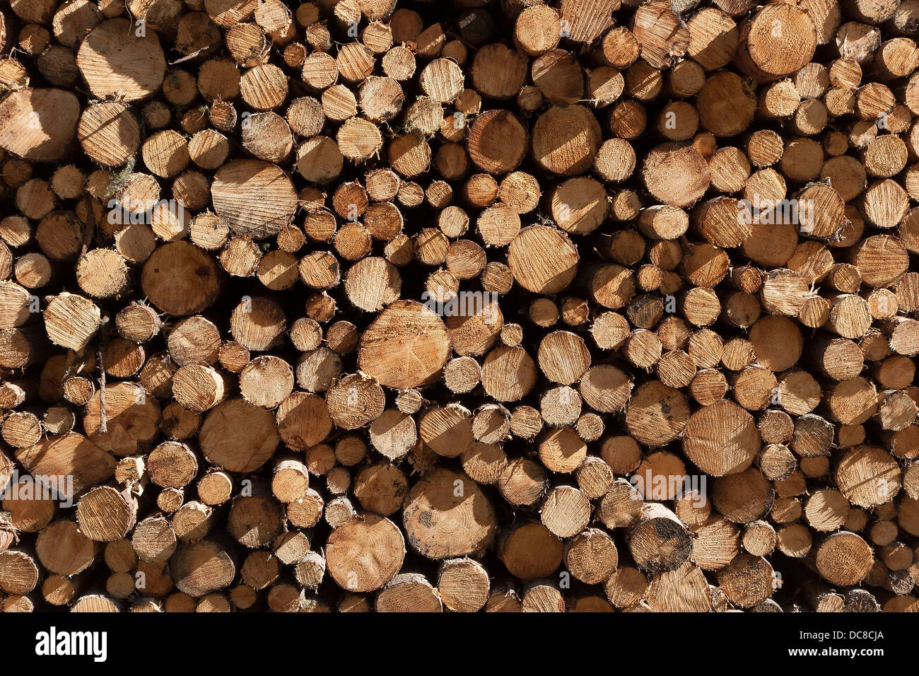 Cut and awaiting transport hi-res stock photography and images - Alamy