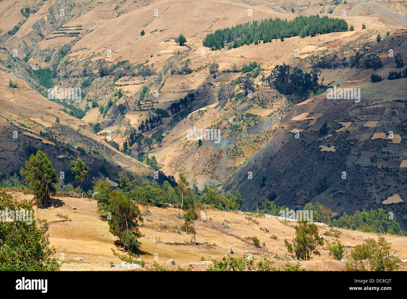 Andes foothills hi-res stock photography and images - Alamy