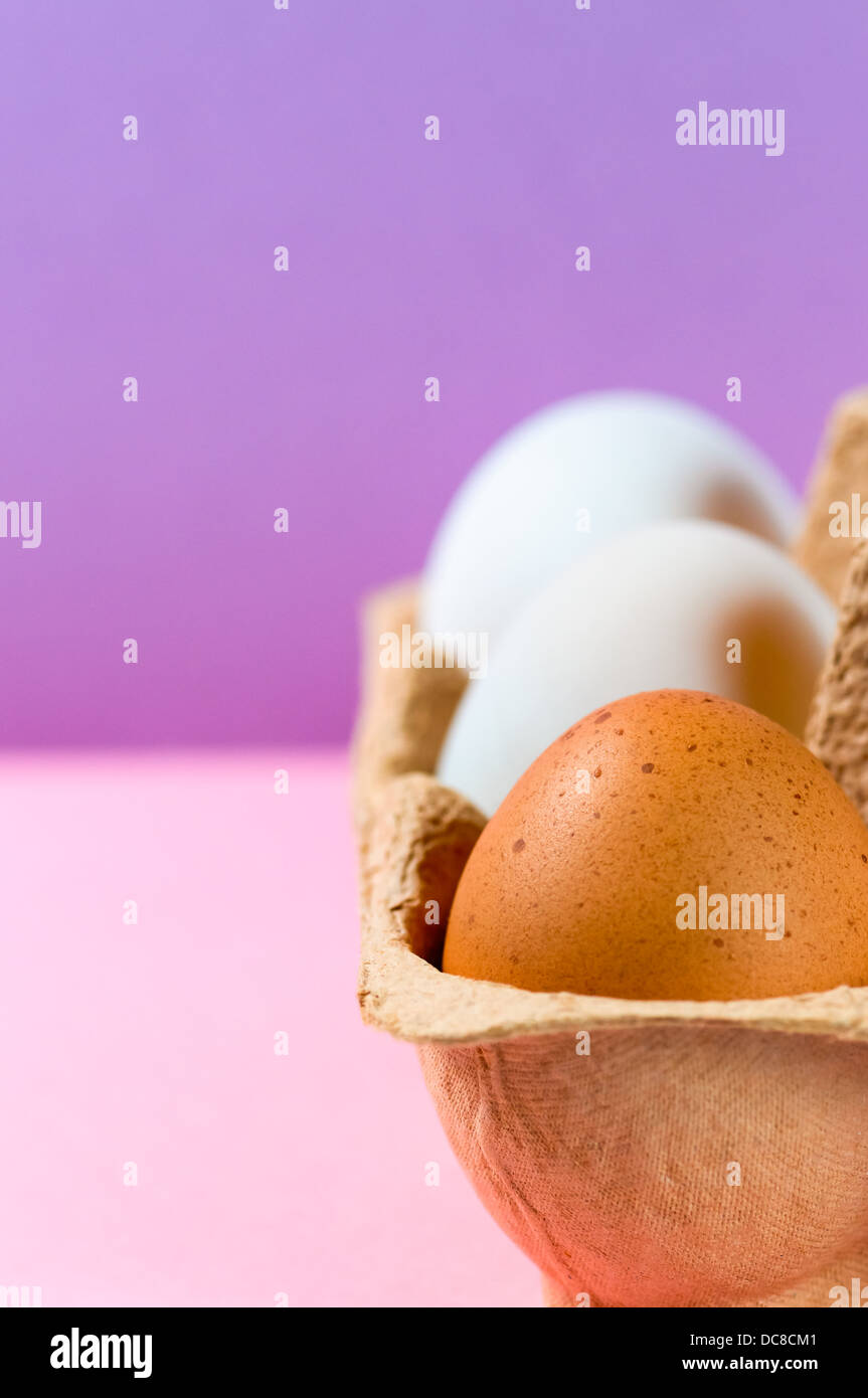 Duck side view hi-res stock photography and images - Alamy