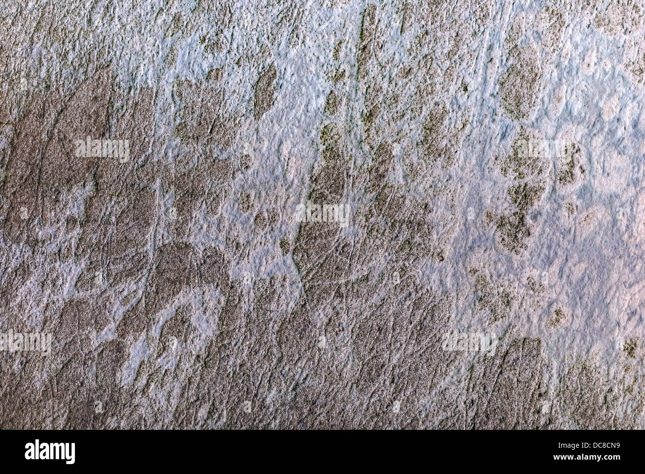 Rough wall texture hi-res stock photography and images - Alamy