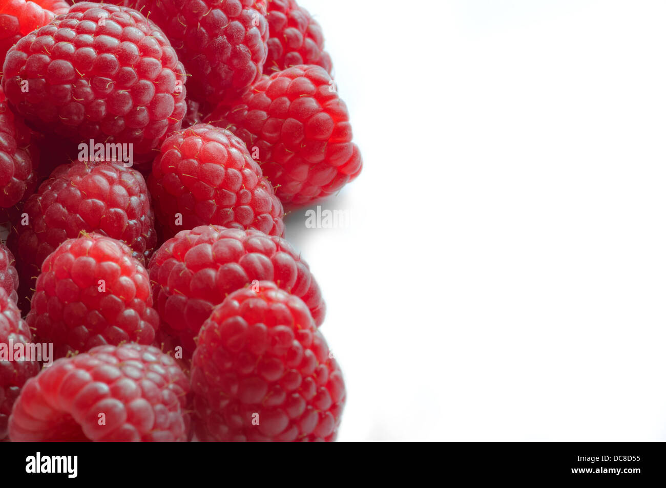 Raspberry - White Background with half side negative space Stock Photo ...