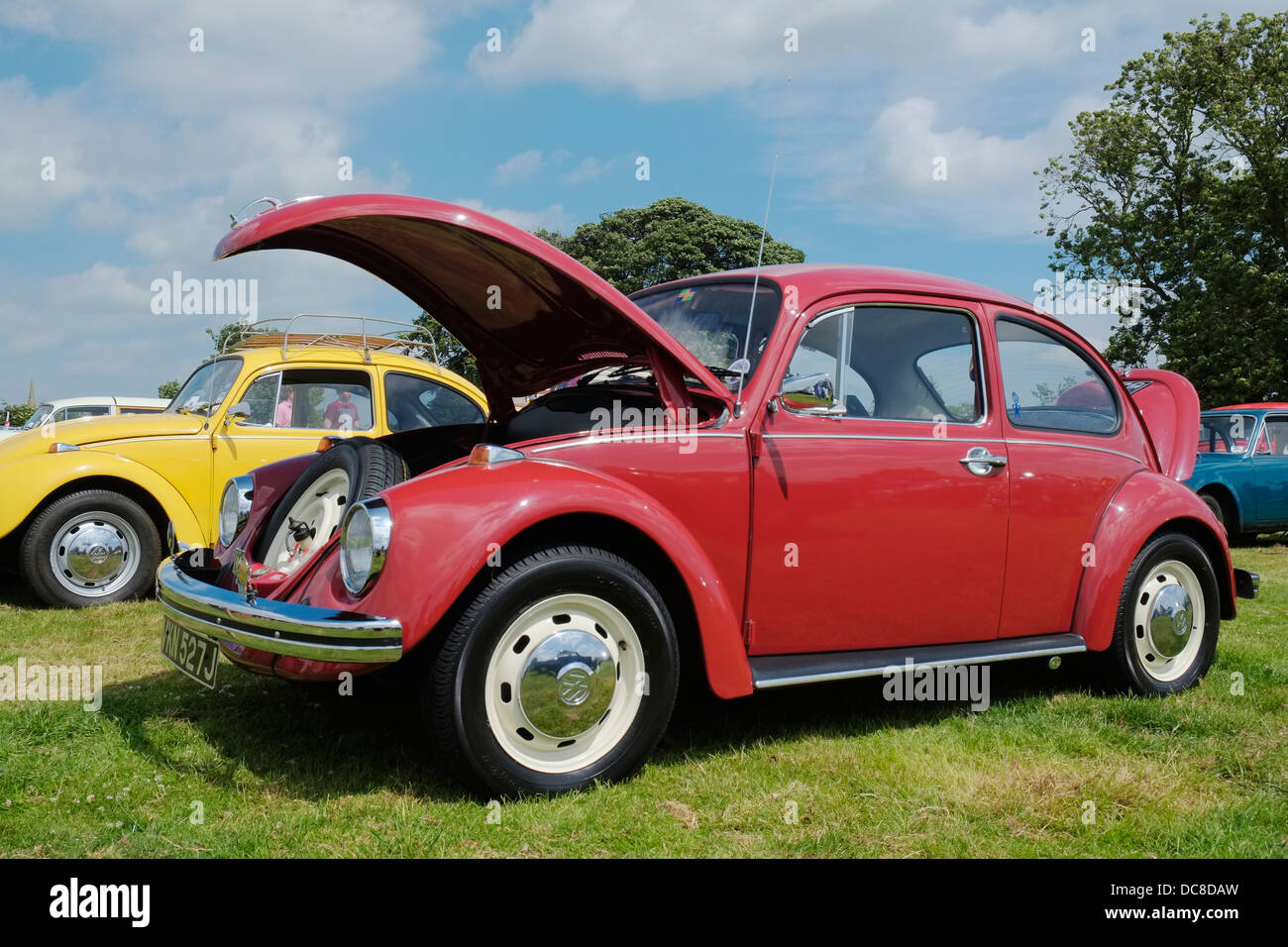 1970 Vw Bug For Sale
