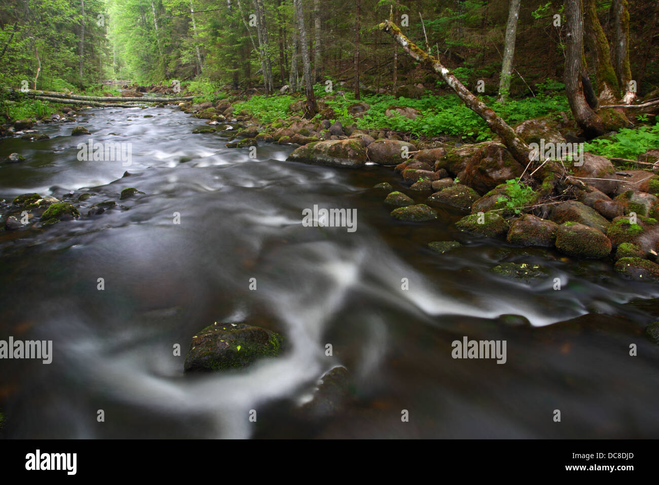 Ancient valley of the River Ahja, Estonia Stock Photo - Alamy