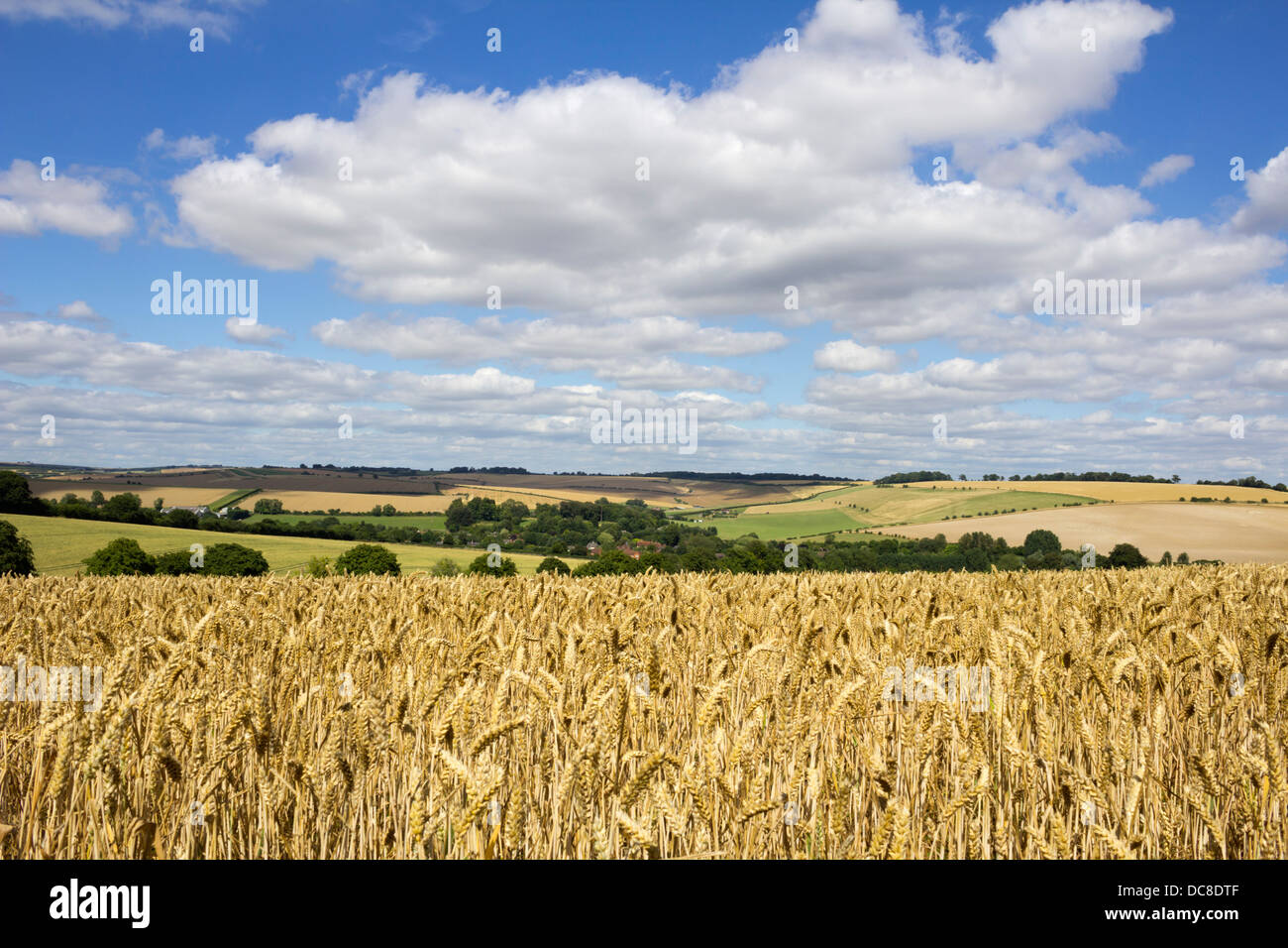 Downland fields hi-res stock photography and images - Alamy