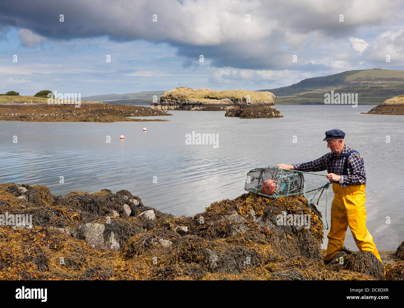 Creel or Lobster Prawn Fisherman, sea fishing, creel, water, net ...