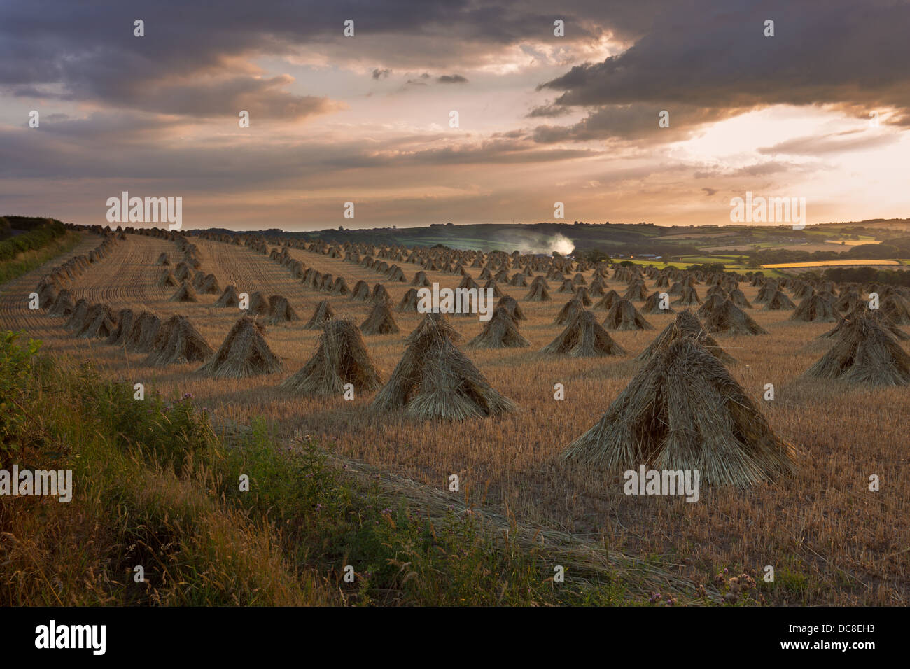 Barley stooks hi-res stock photography and images - Alamy