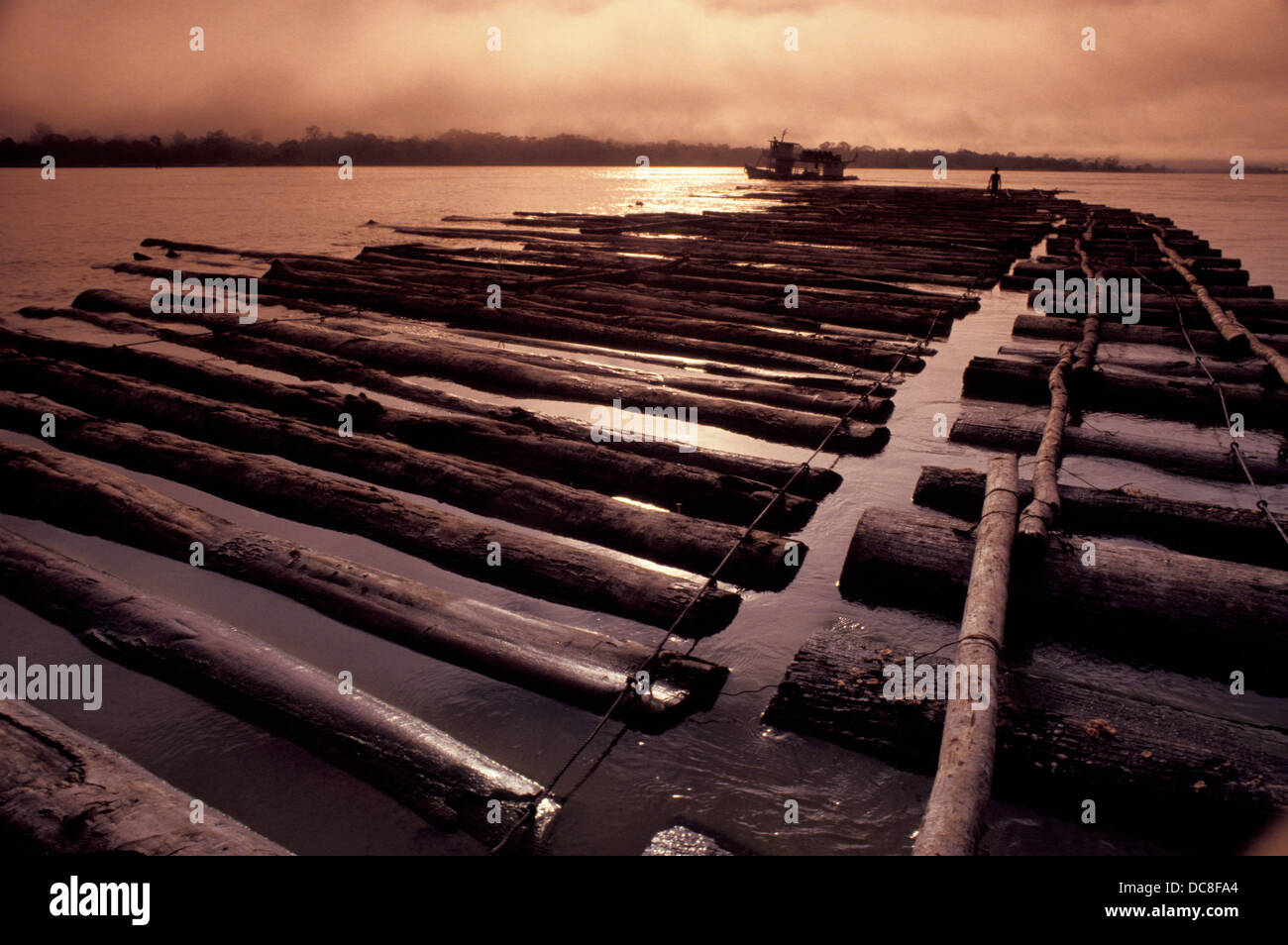 Floating tree trunks down river hi-res stock photography and images - Alamy