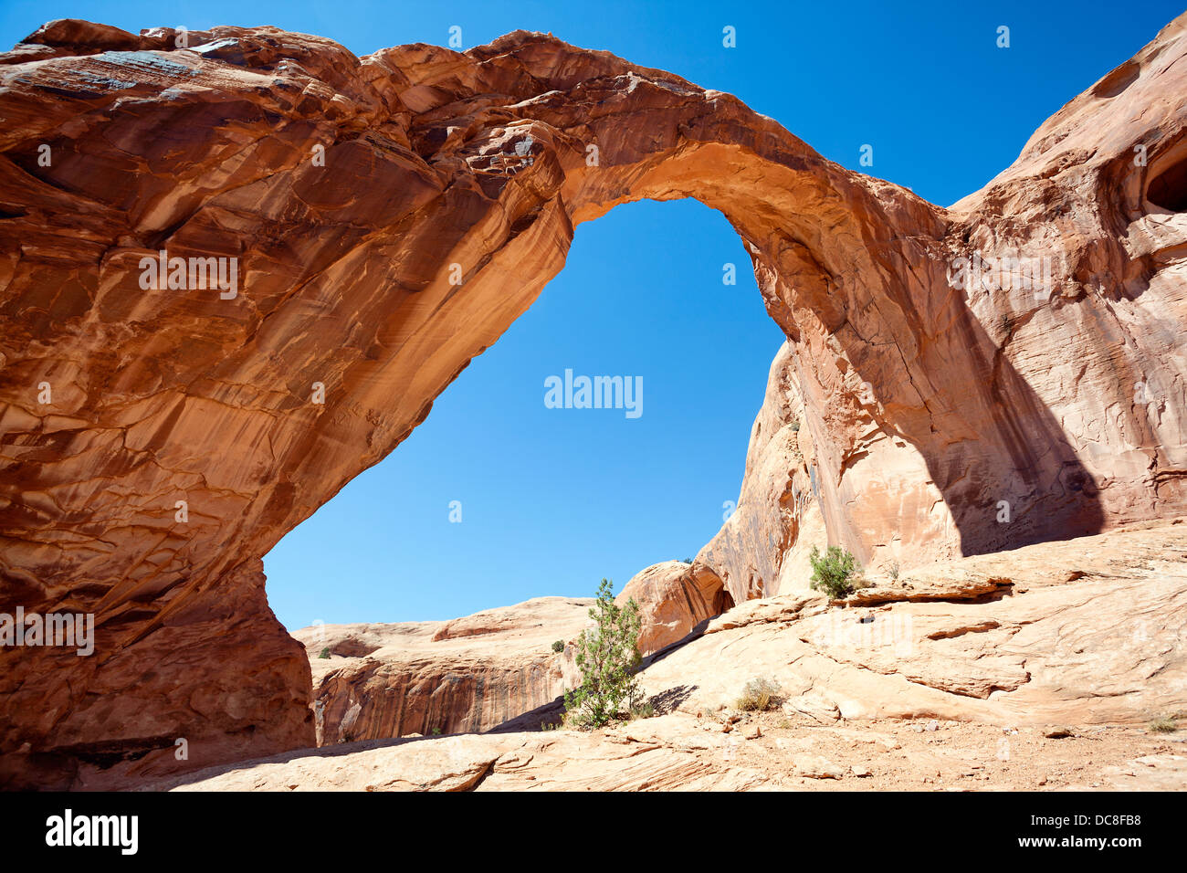 Corona arch hi-res stock photography and images - Alamy