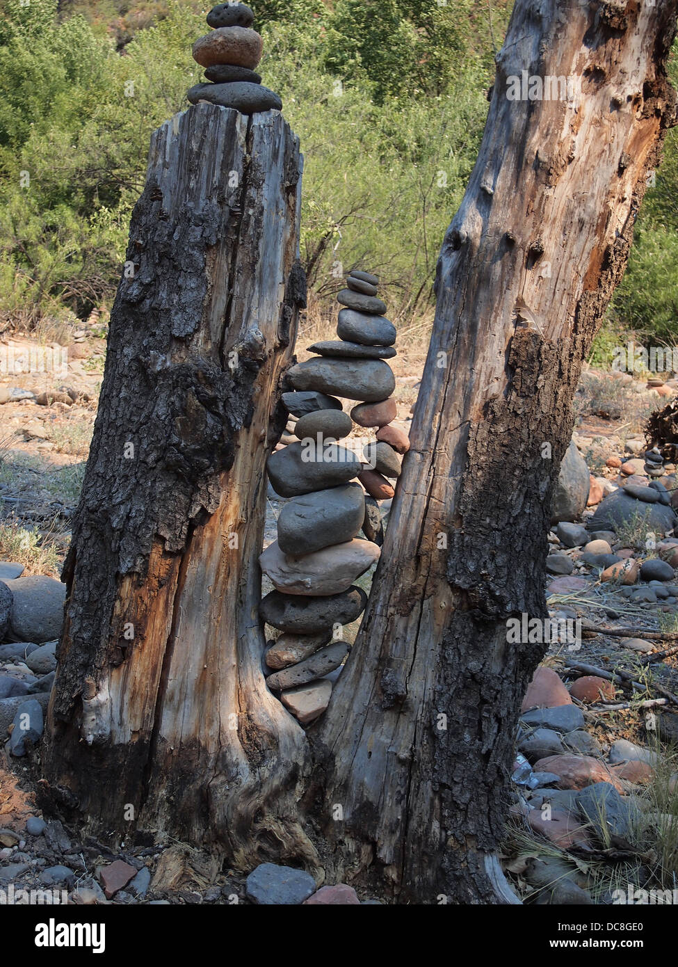 Stone stack wedged between tree trunks on the trail to Cathedral Rock ...
