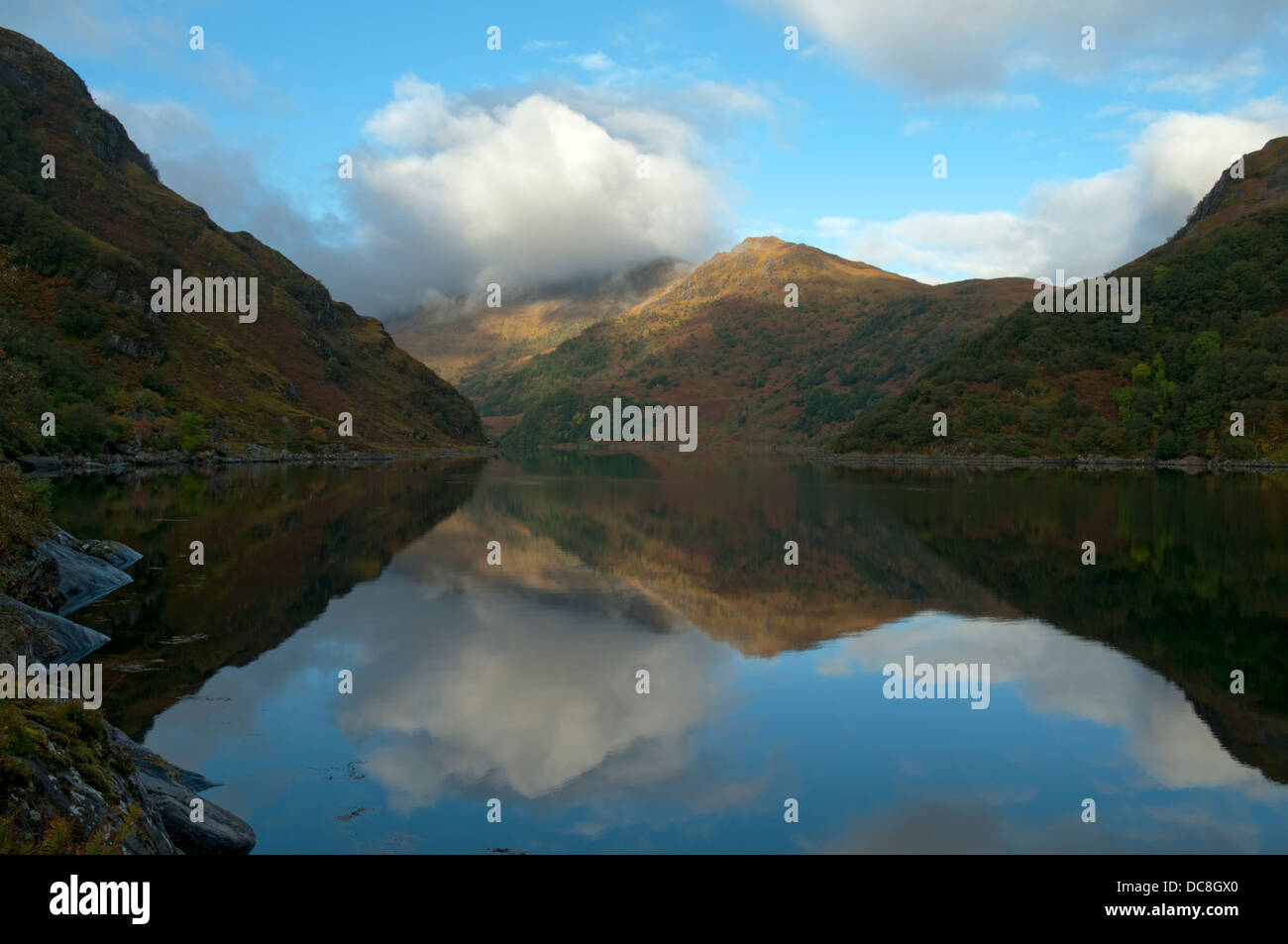 Kinochhourn hi-res stock photography and images - Alamy