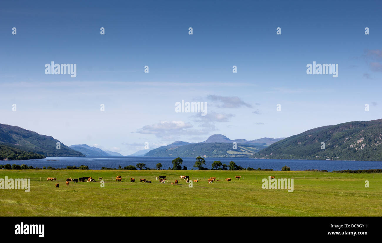 Dores village scotland hi-res stock photography and images - Alamy