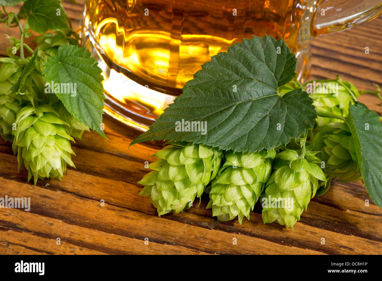 Hops crop pint hi-res stock photography and images - Alamy