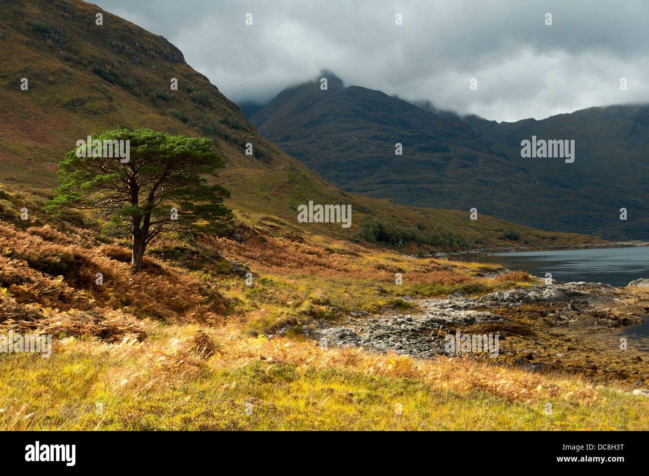 Ladhar Bheinn from the coastal path to Barrisdale Bay, by Loch Hourn ...