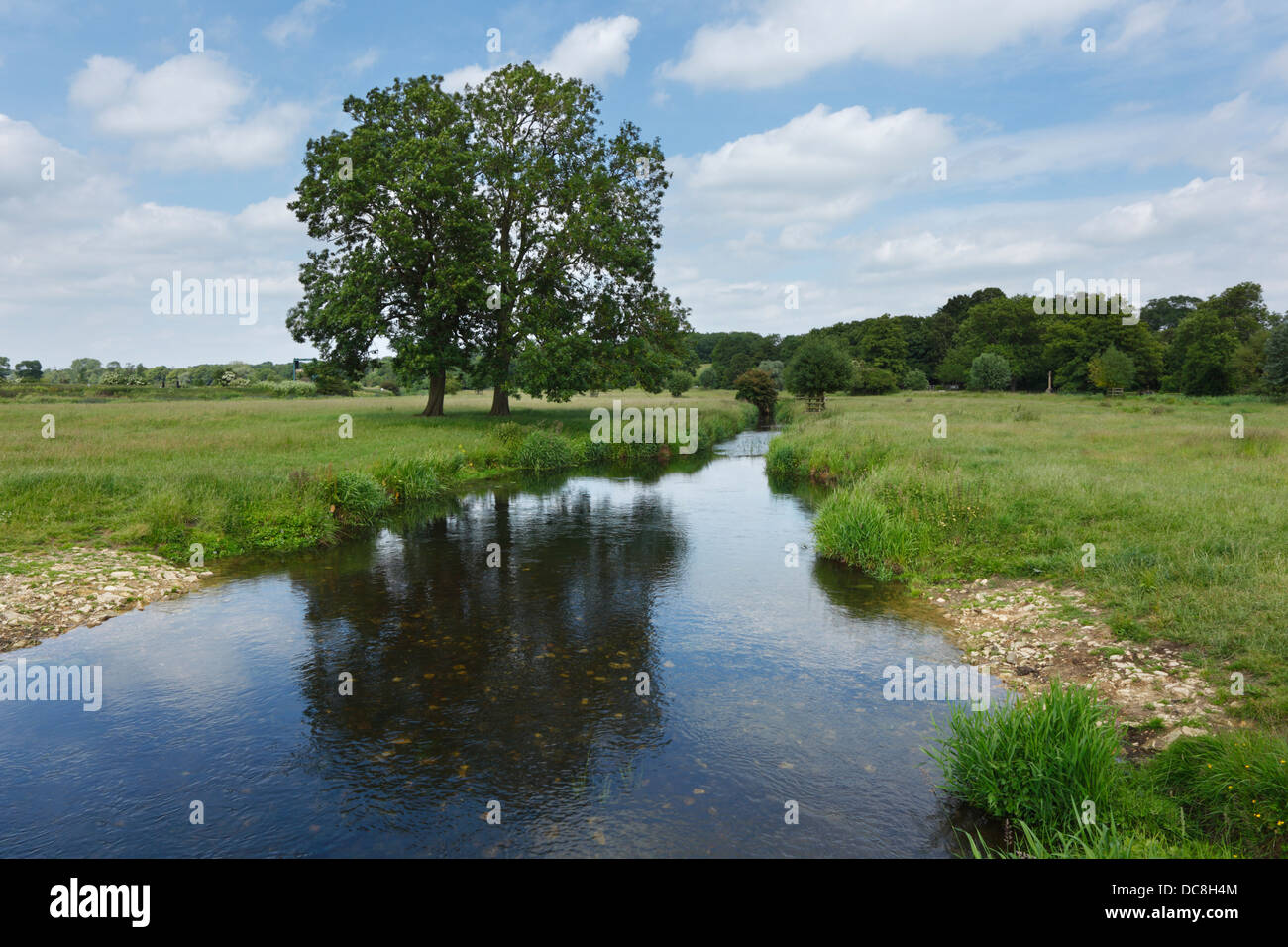 River Nene near Denford. Nene Valley. Northamptonshire. England. UK ...