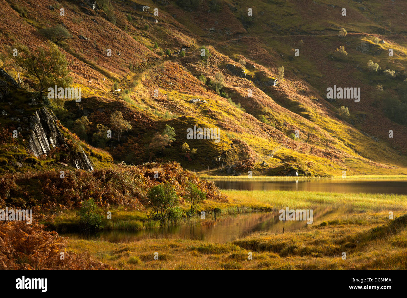 Autumn colours at Loch Coire Shùbh, above Kinloch Hourn. Knoydart ...