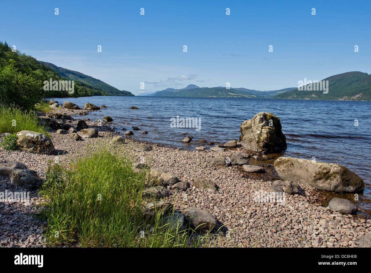 LOCH NESS SCOTLAND SHORELINE WITH SUMMER GRASSES Stock Photo - Alamy