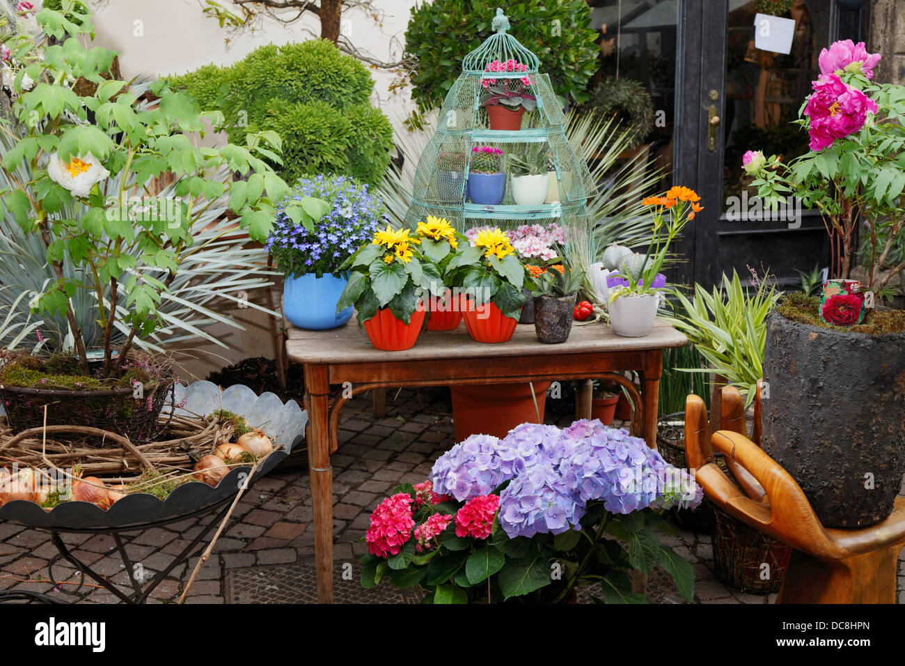 Plants and flowers on the street in Bolzano,Italy Stock Photo - Alamy