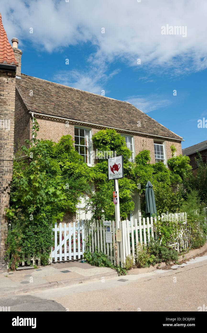 Peacocks tea and coffee restaurant and cafe Ely Cambridgeshire UK Stock ...