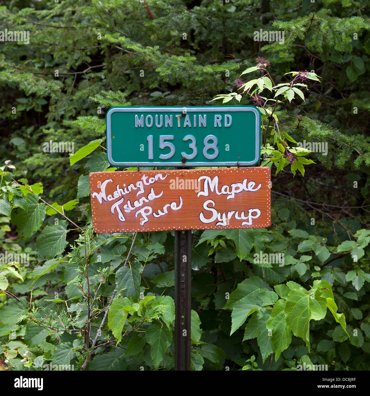 Maple Syrup Sign High Resolution Stock Photography and Images - Alamy