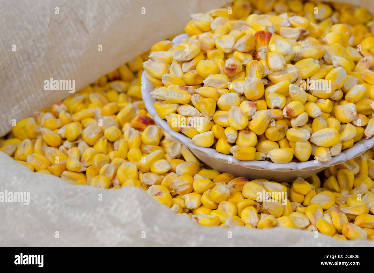 Grown in ecuador hi-res stock photography and images - Alamy