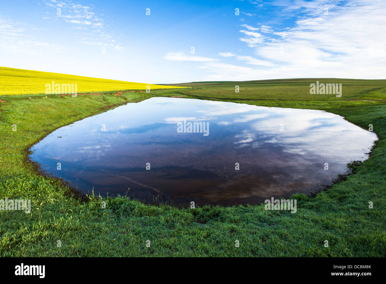 Small watering hole on farmland Stock Photo - Alamy