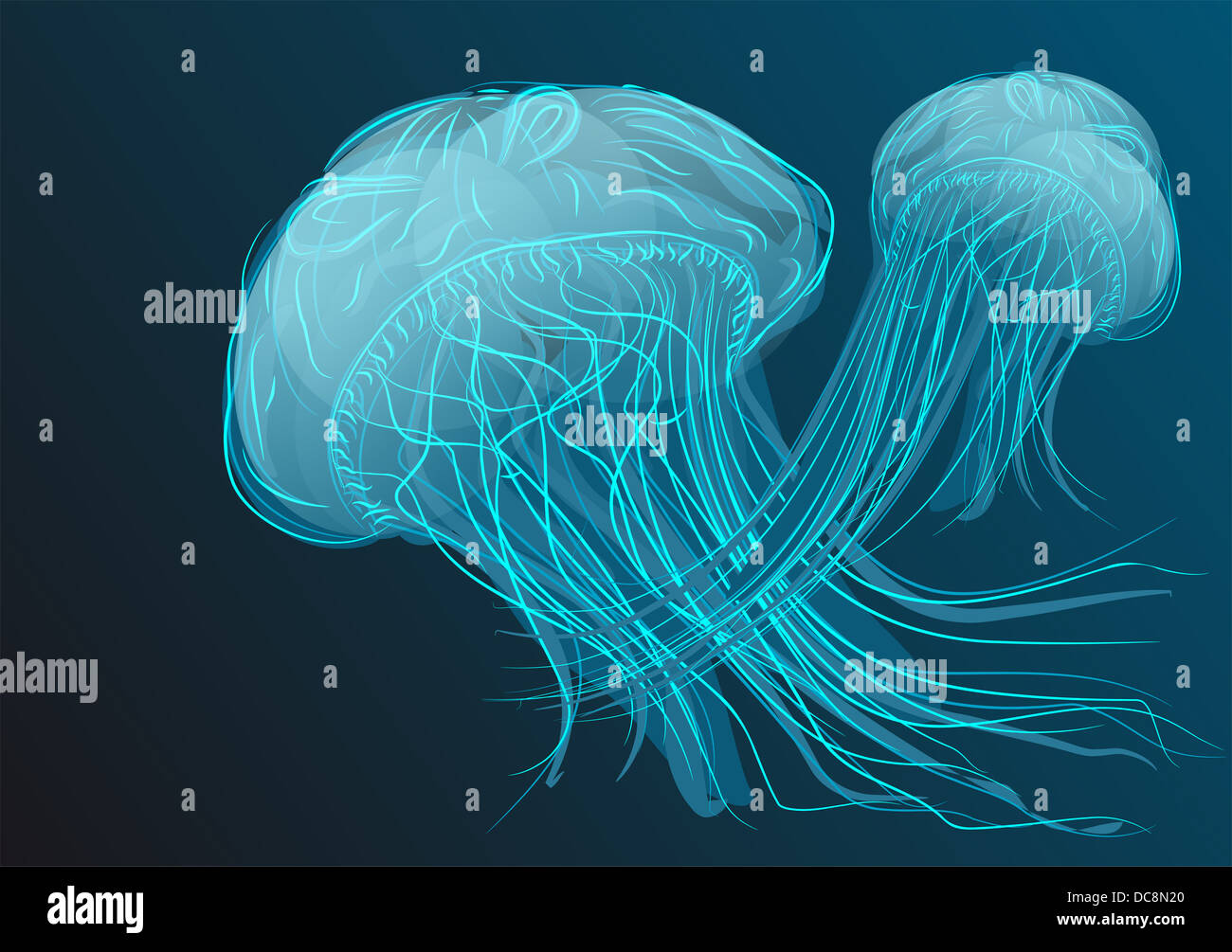 Phosphorescence and sea hi-res stock photography and images - Alamy