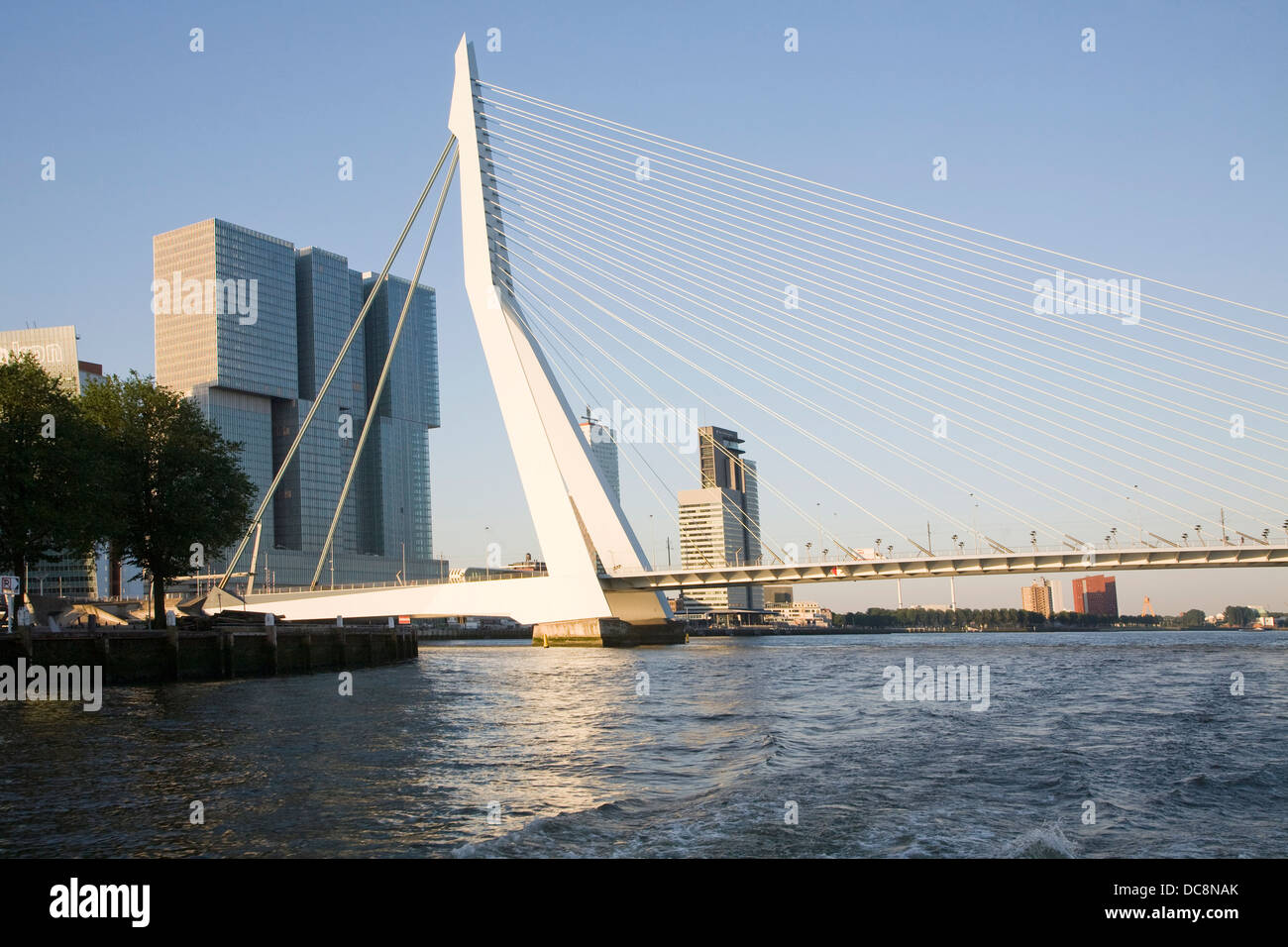 Erasmus bridge and De Rotterdam building from River Maas Rotterdam ...