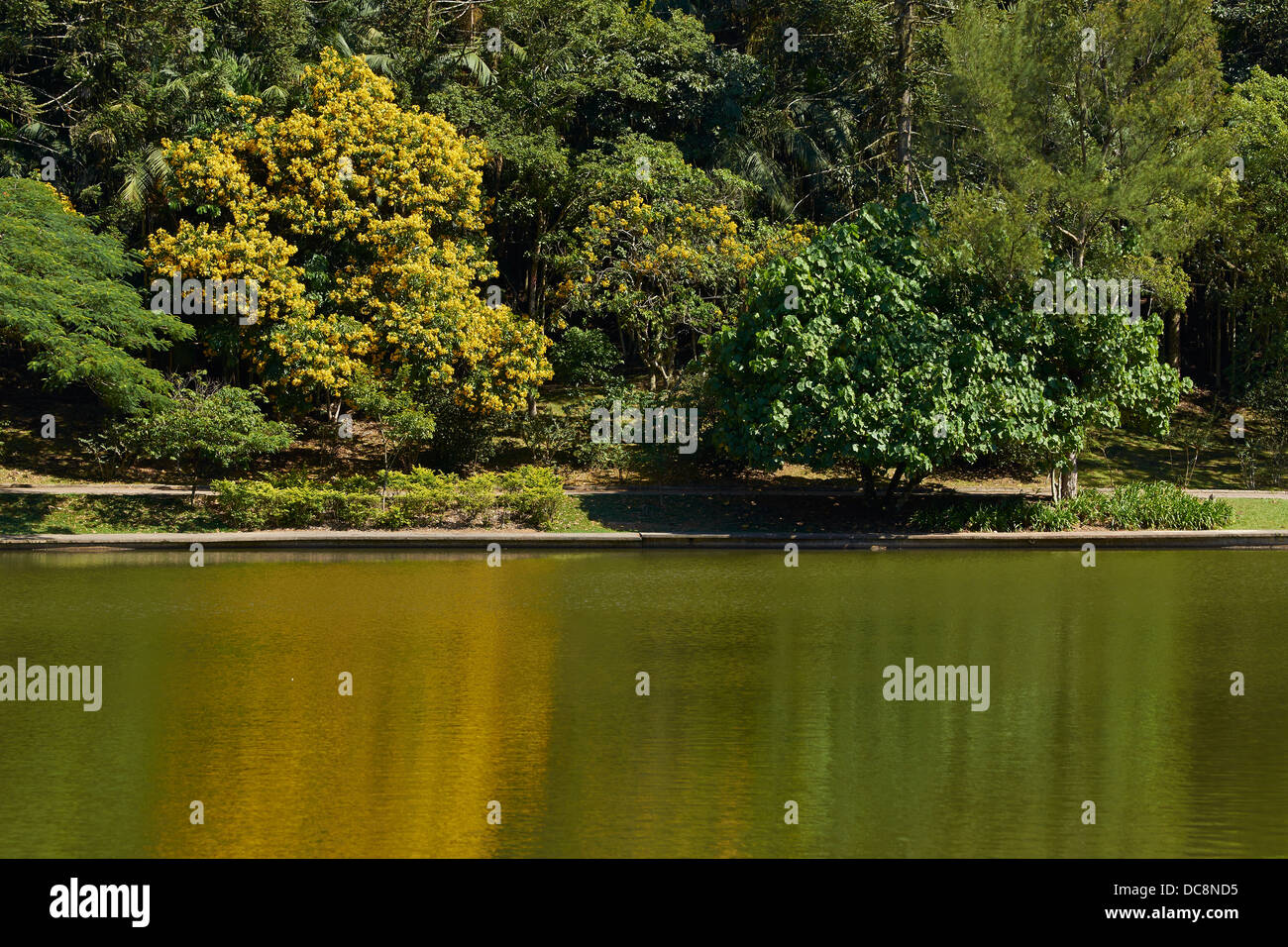 Humid hi-res stock photography and images - Alamy