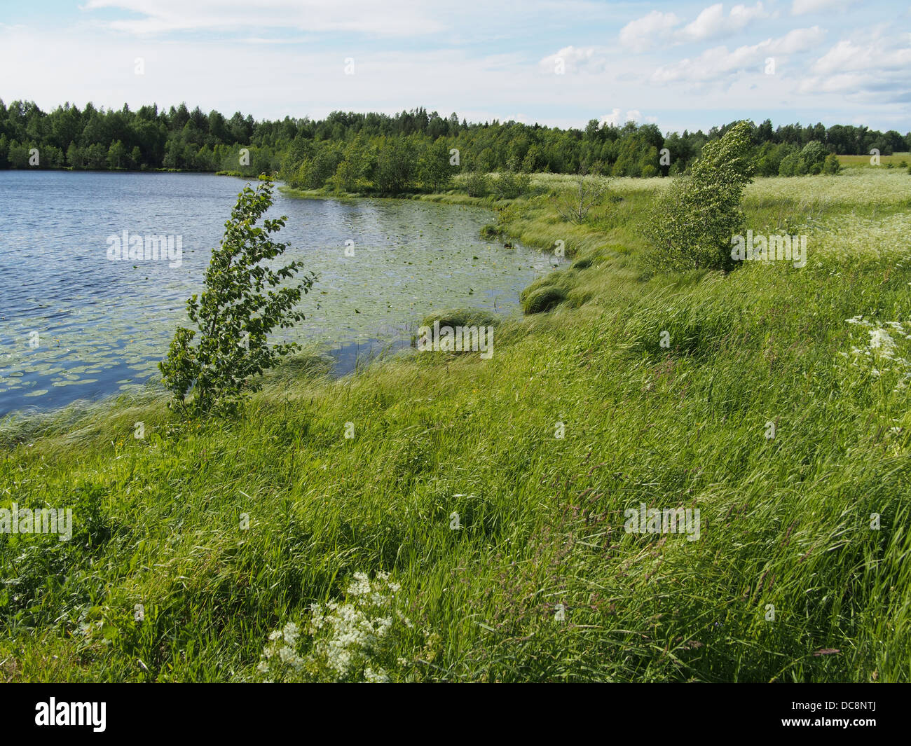 Fleck lake hi-res stock photography and images - Alamy