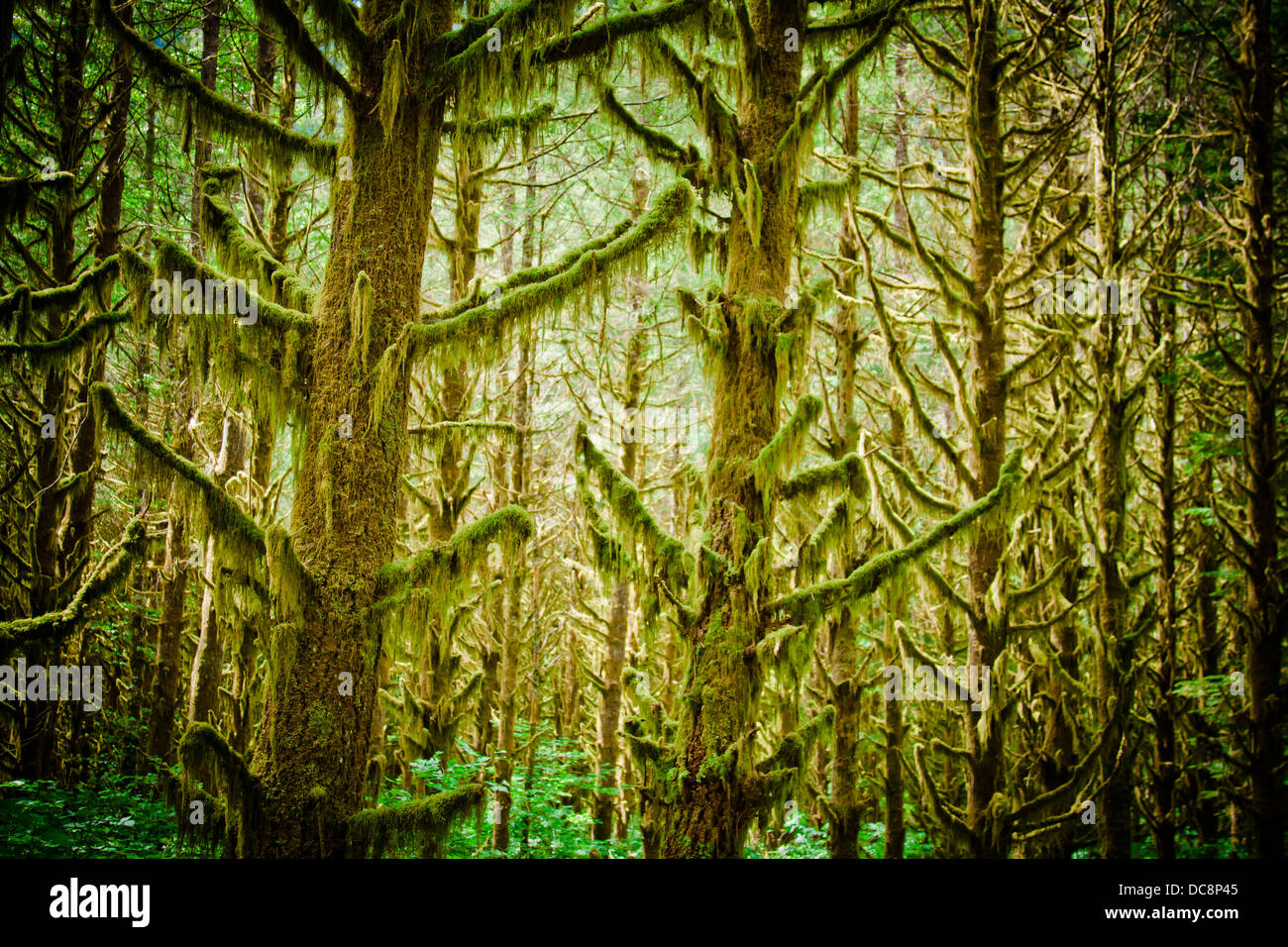 Outdoors / Nature Stock Photo - Alamy