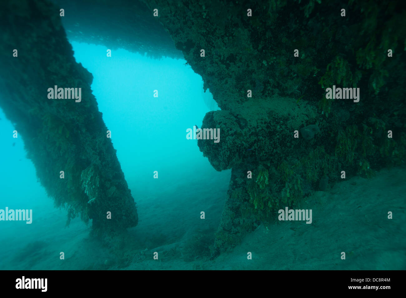 The rudder and propeller shaft of the wreck of the Prince Albert off ...