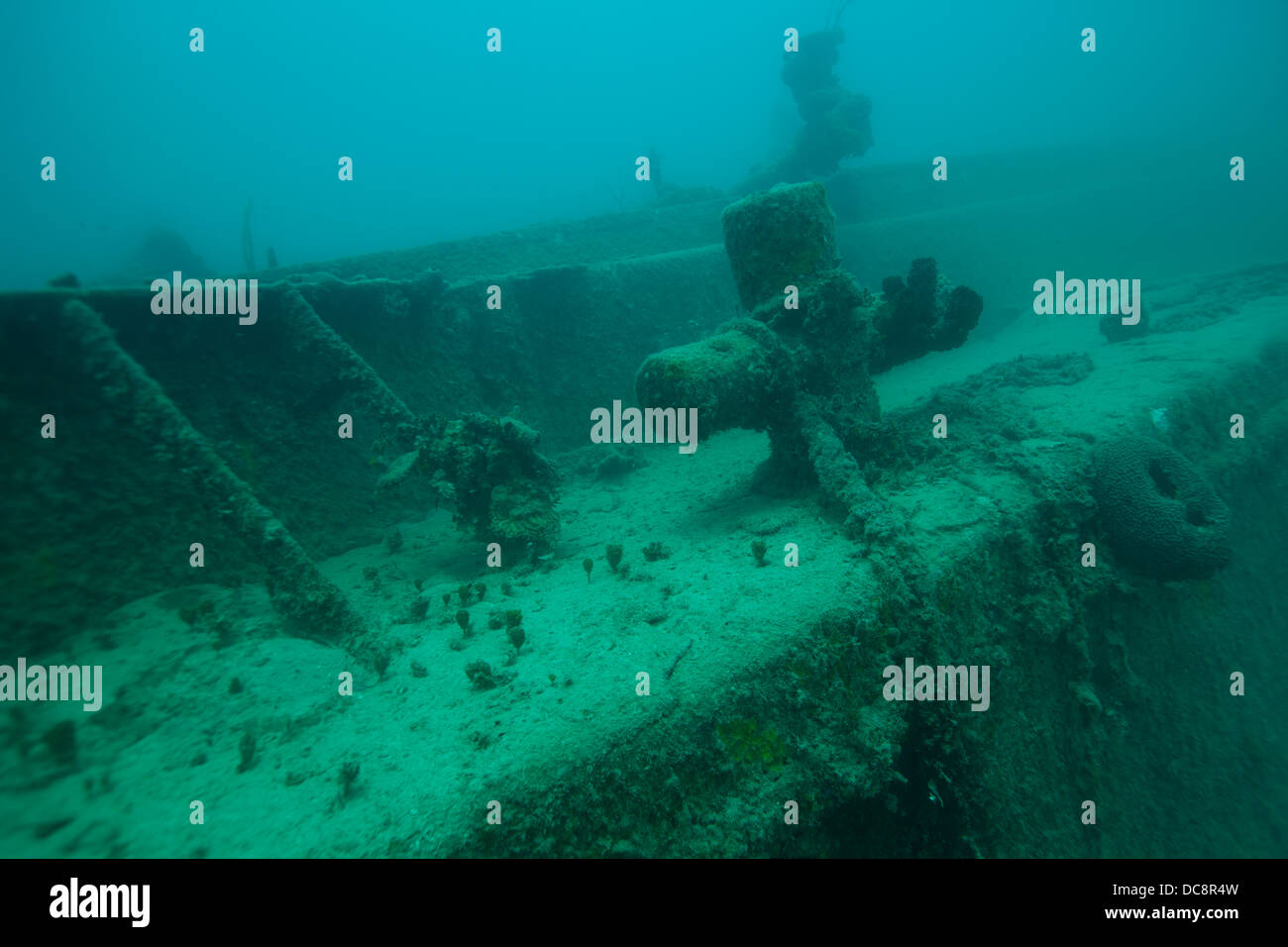 The wreck of the Prince Albert off the island of Roatan, Honduras Stock ...