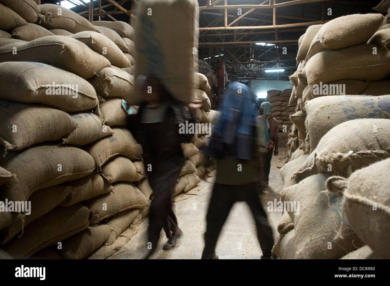 Ethiopia, Addis Ababa, Bagersh dry mill and warehouse. 12 January 2010 ...
