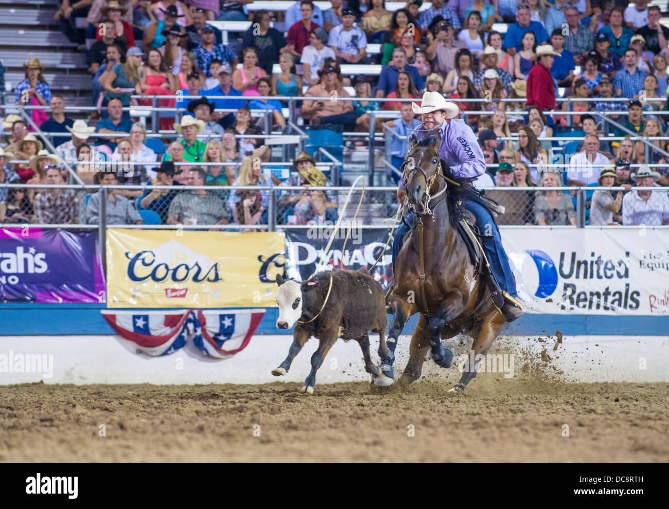 Cowboy Participant in a Calf roping Competition at the Reno Rodeo ...