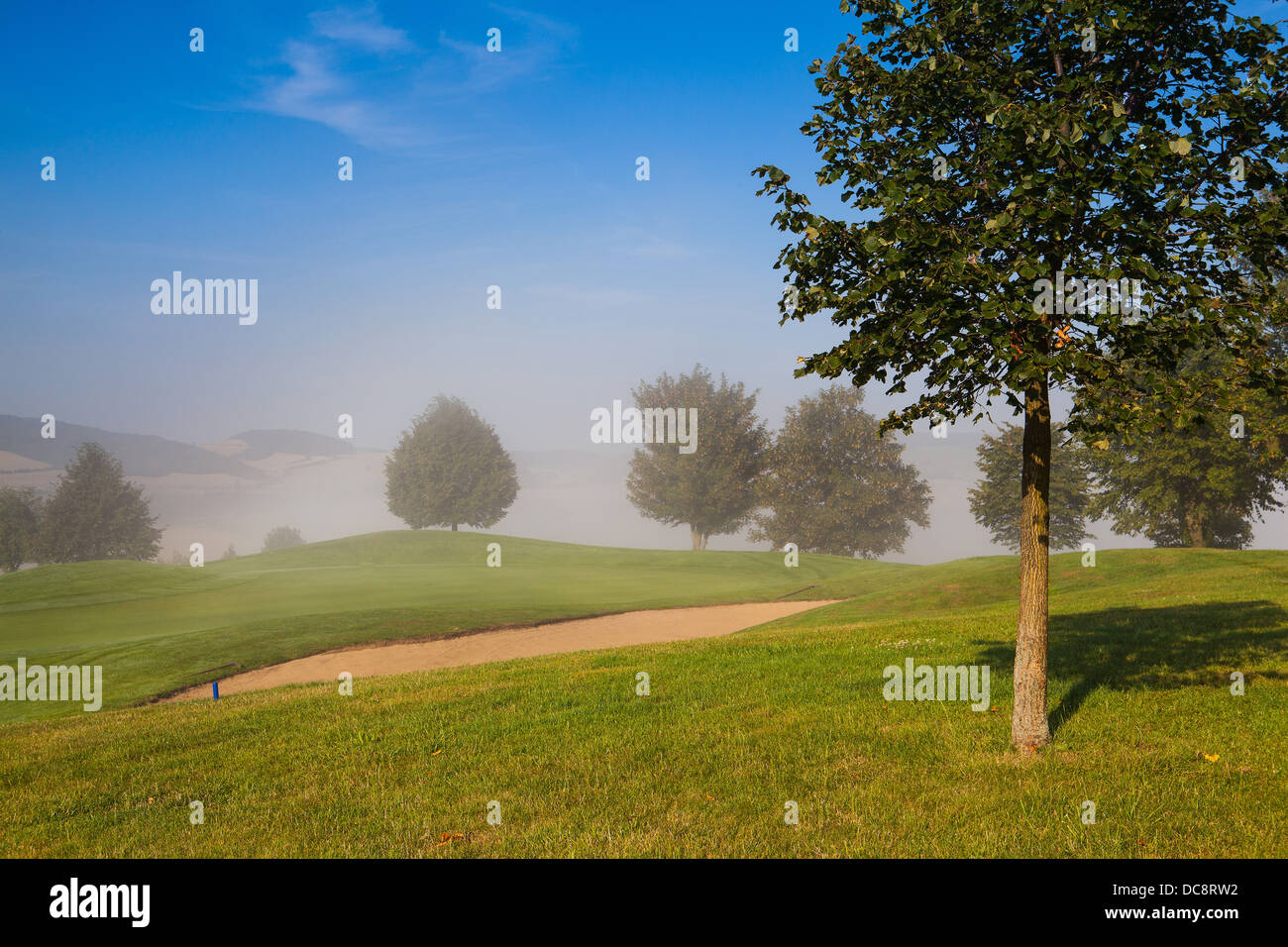Summer golf course in the morning mist Stock Photo - Alamy