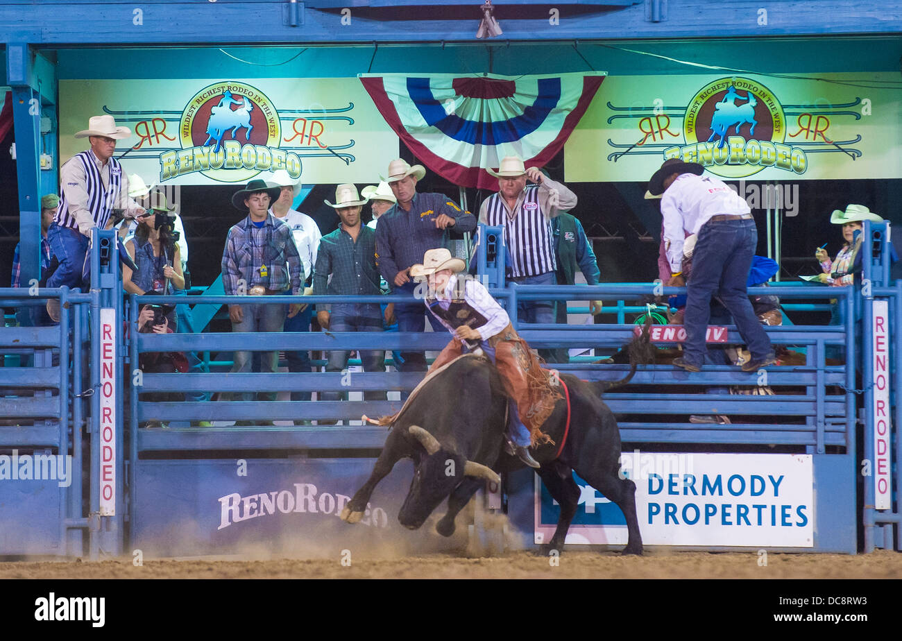 Cowboy Participant in a Bull riding Competition at the Reno Rodeo a ...