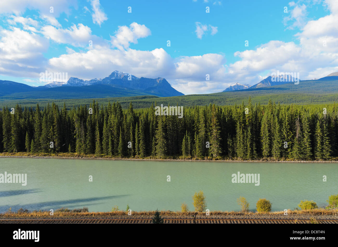 Bow valley parkway forest hi-res stock photography and images - Alamy
