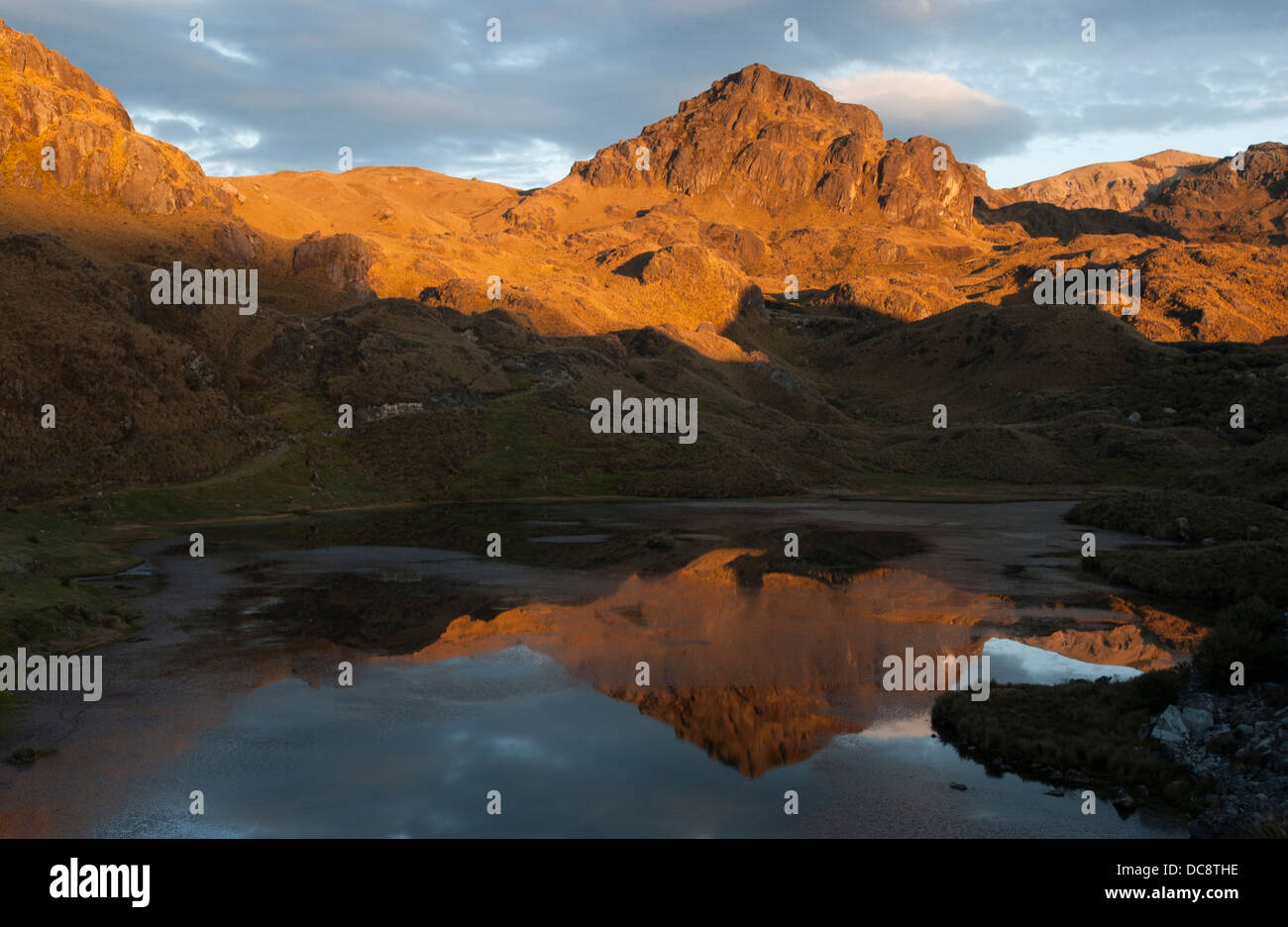 Cajas National Park (3000 - 4,400m) west of Cuenca, Southern Andes ...