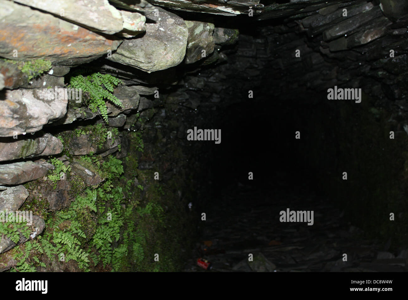 opening to an abandoned mine shaft Stock Photo - Alamy