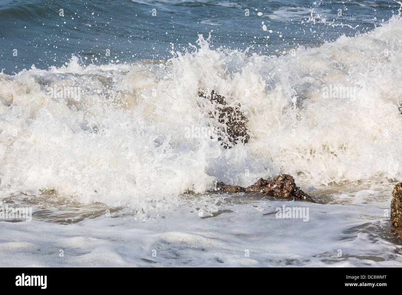 A beach in Varkala. Indian ocean Stock Photo - Alamy