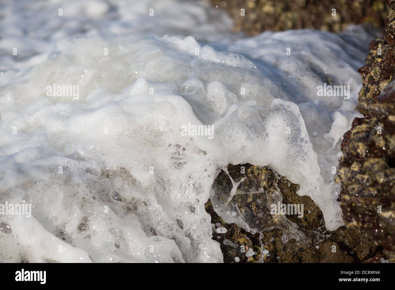 A beach in Varkala. Indian ocean Stock Photo - Alamy