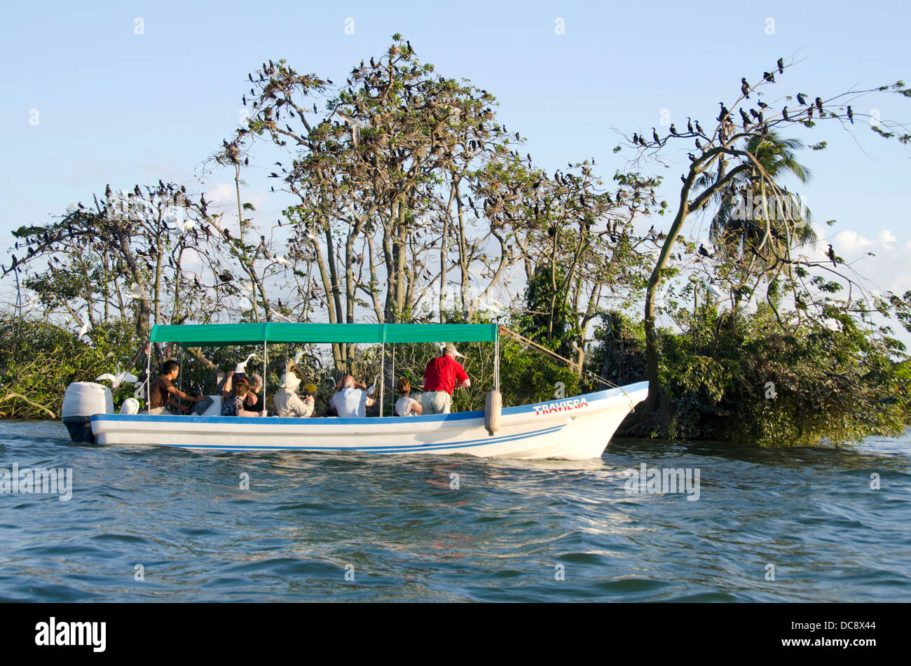 Guatemala, Rio Dulce National Park. Lake Izabal. Bird nesting island ...