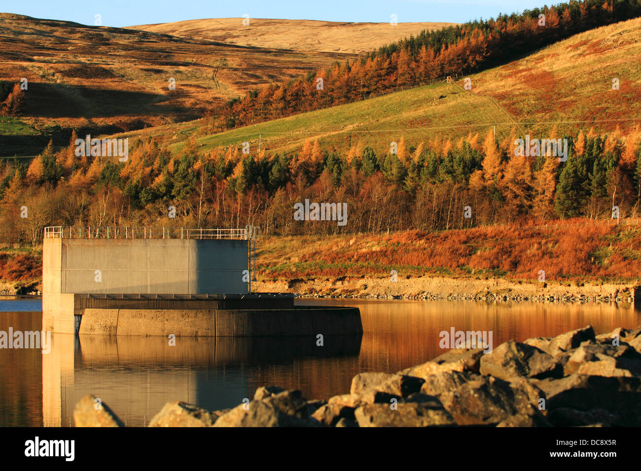 Megget reservoir hi-res stock photography and images - Alamy
