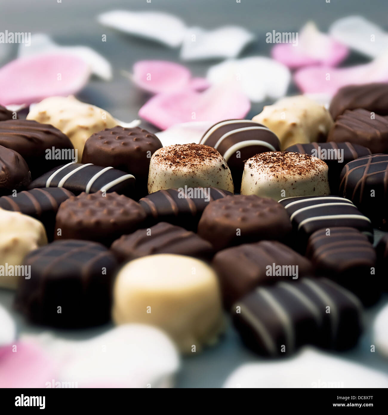 Chocolate truffles and rose petals Stock Photo - Alamy